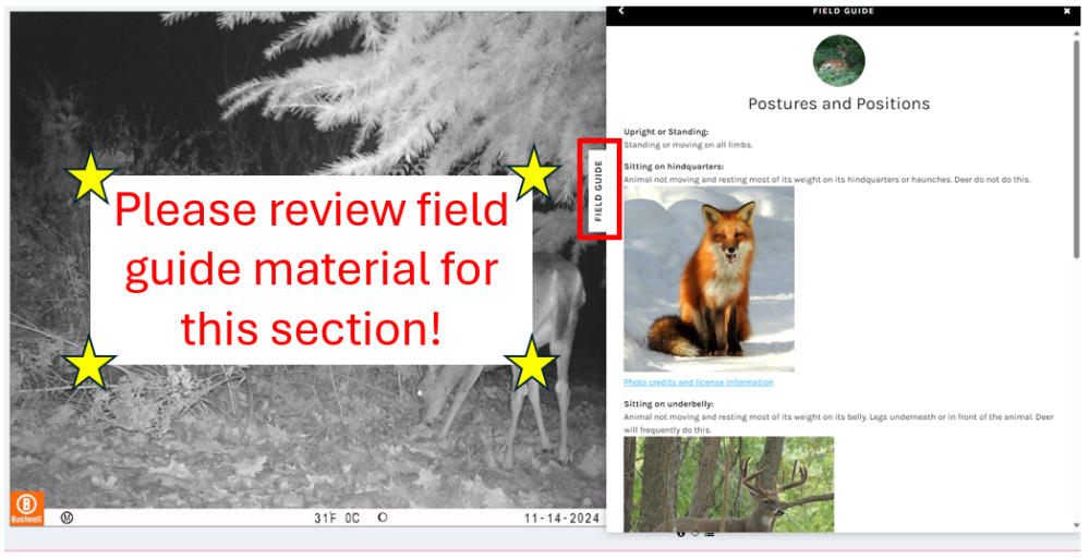 FAQ | Wild Behavior - Philadelphia | Zooniverse - People-powered research