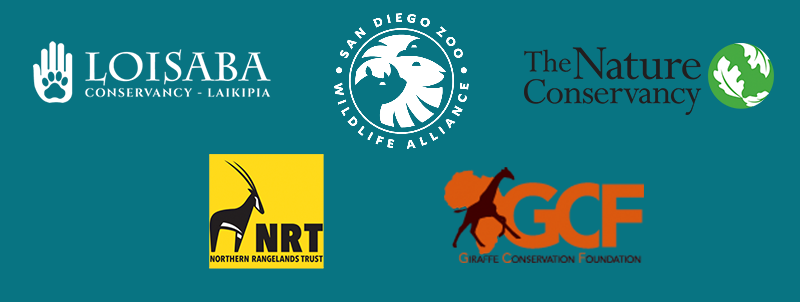 Wildwatch Kenya | Zooniverse - People-powered research